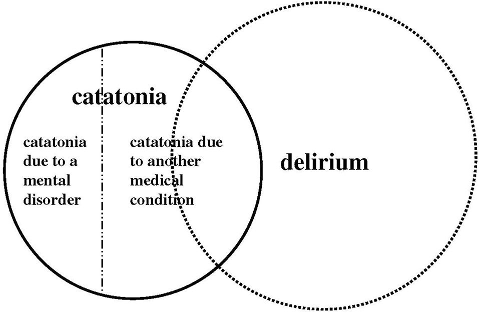 hyperactive catatonia symptoms