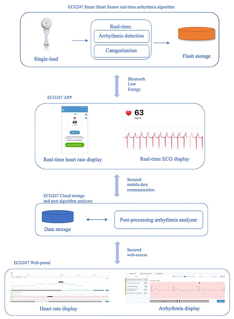 arrhythmia algorithm
