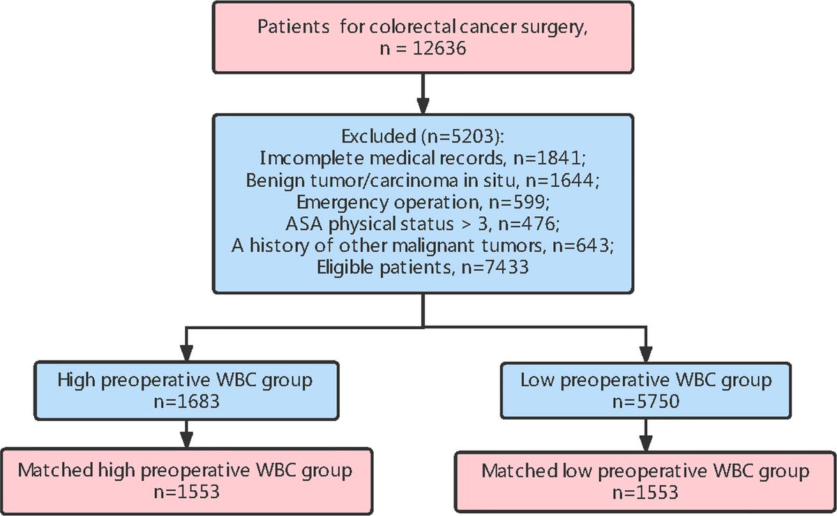 white cell count elevated