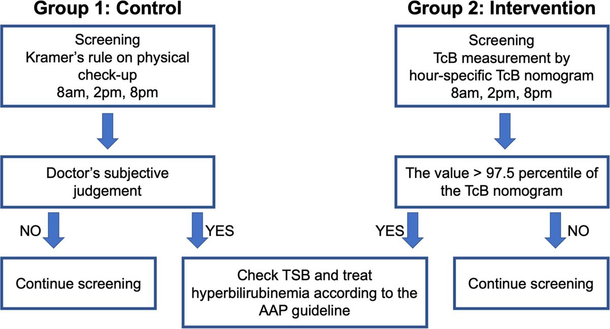 bilirubin test calculation