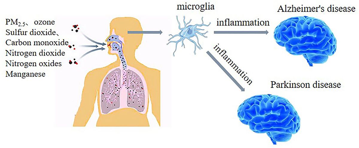 nitrogen dioxide pollution effects