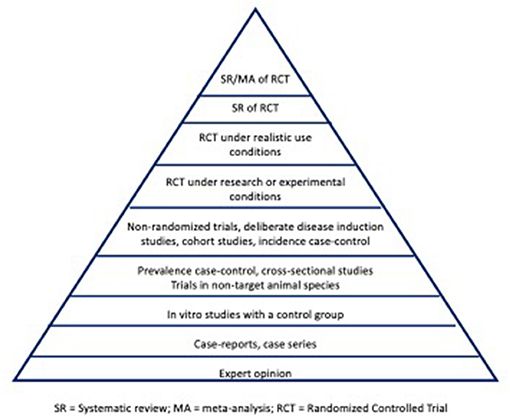 internal validity rct
