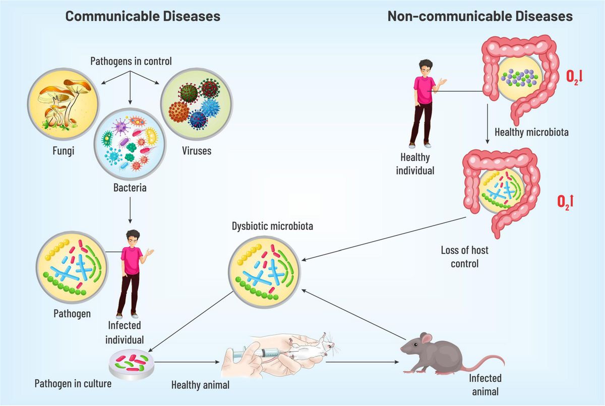 communicable diseases
