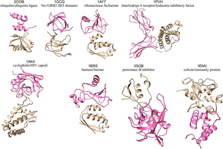 protein structure molecular simulation