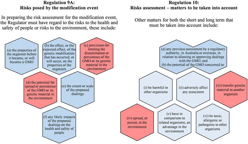 gmo potential risks