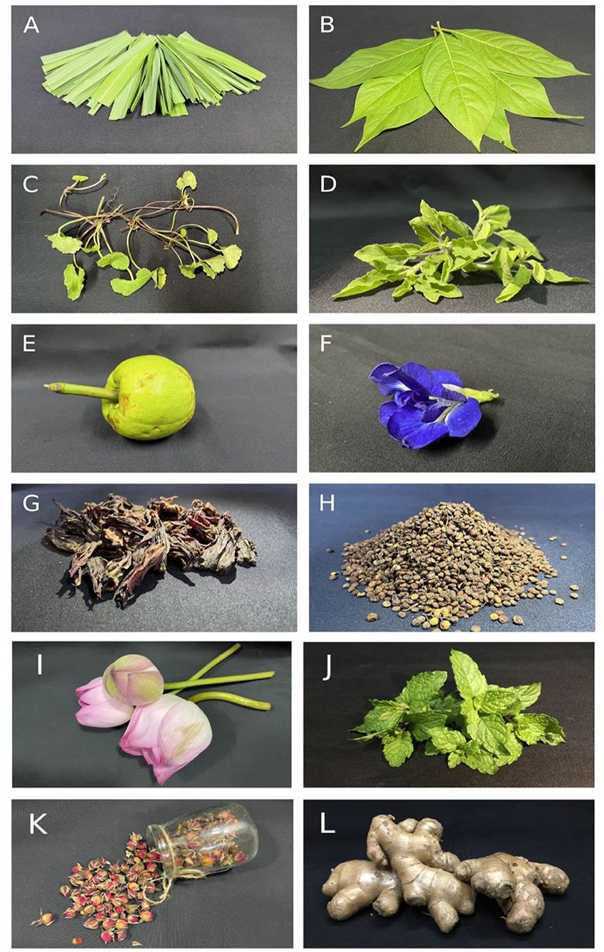how to prepare lemongrass as herbal medicine