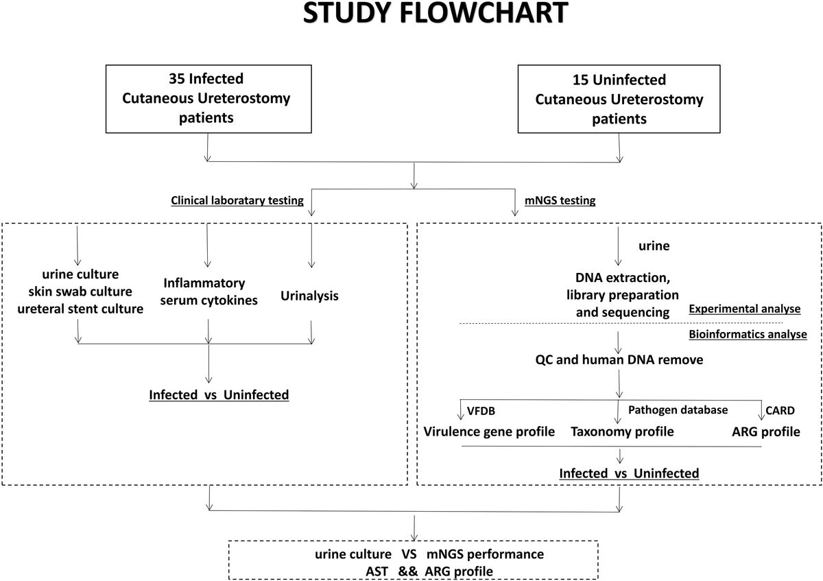 cutaneous ureterostomy cpt code