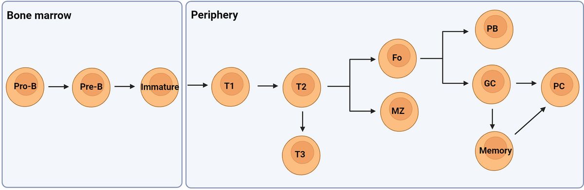 csk l2 candidate learning record