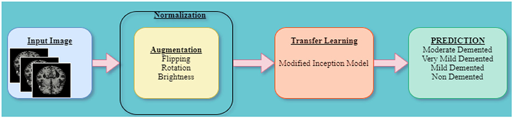 Frontiers | Transfer learning-based modified inception model for the ...
