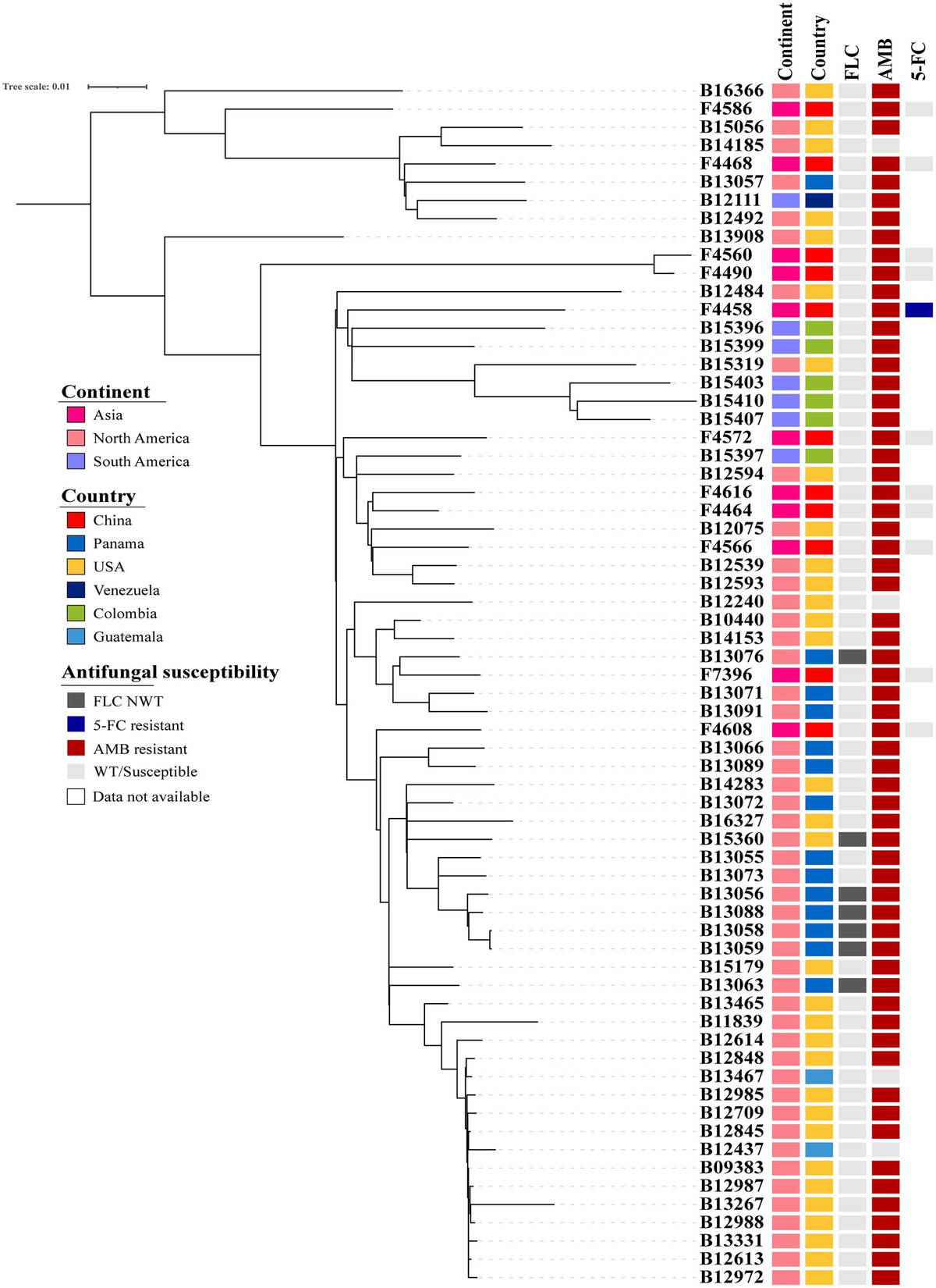 Frontiers | Antifungal susceptibility profiles and drug resistance ...