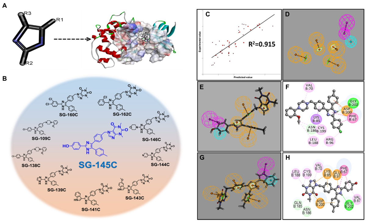 Frontiers | Discovery of imidazole-based GSK-3β inhibitors for transdifferentiation of human ...