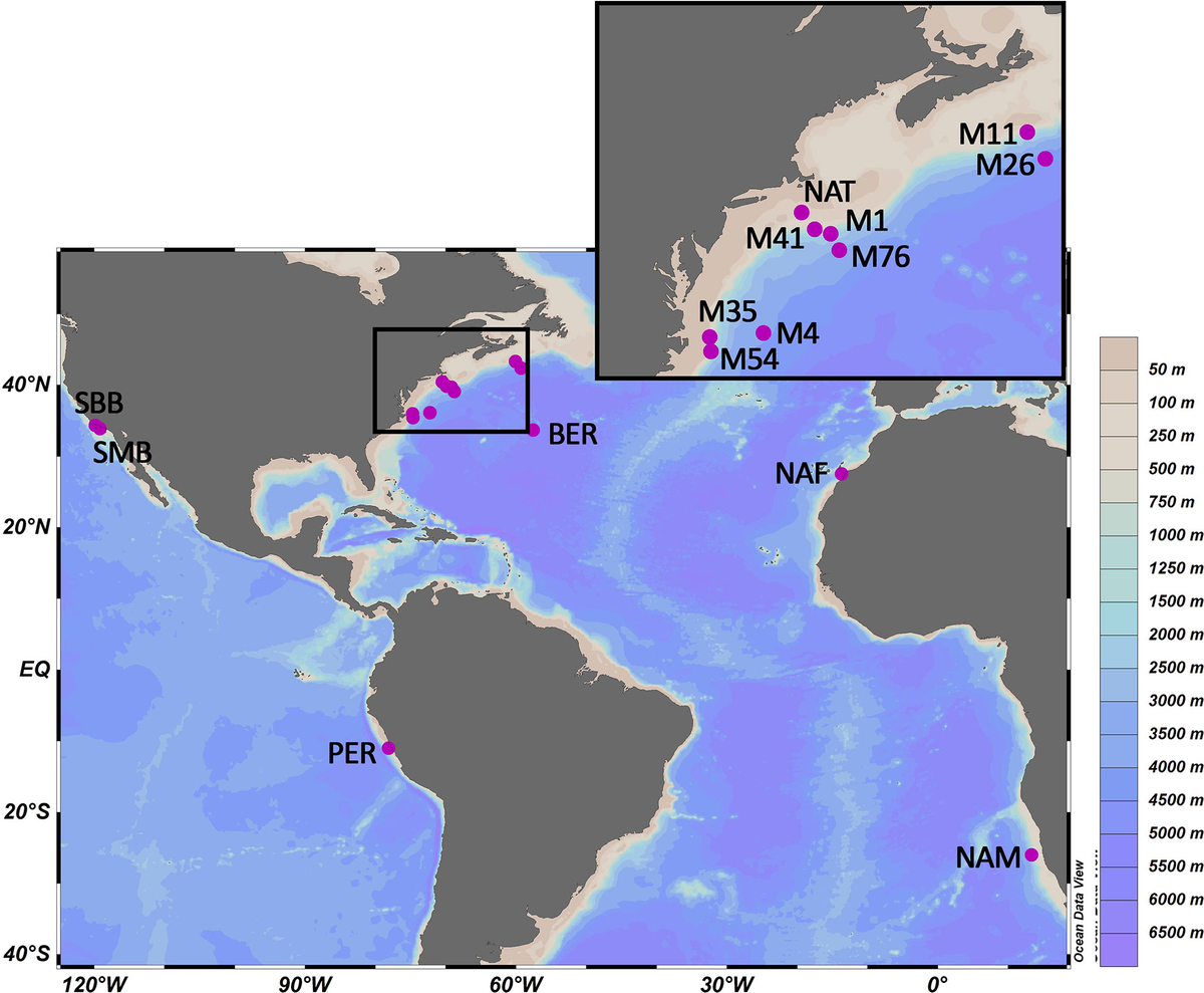 Frontiers | Grain size controls on long-chain diol distributions and ...