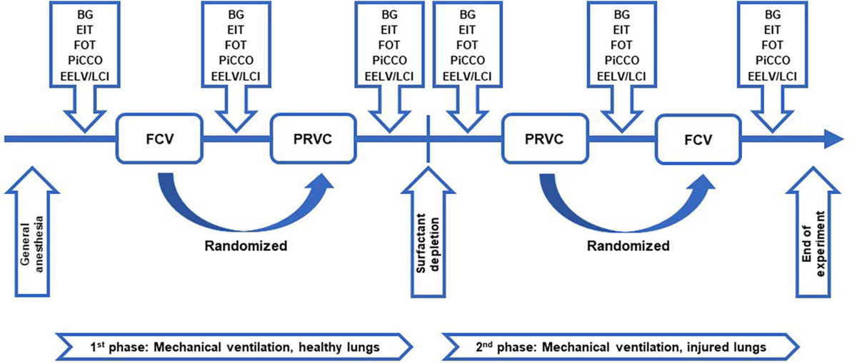 Frontiers | Flow-controlled ventilation maintains gas exchange and lung aeration in a pediatric ...