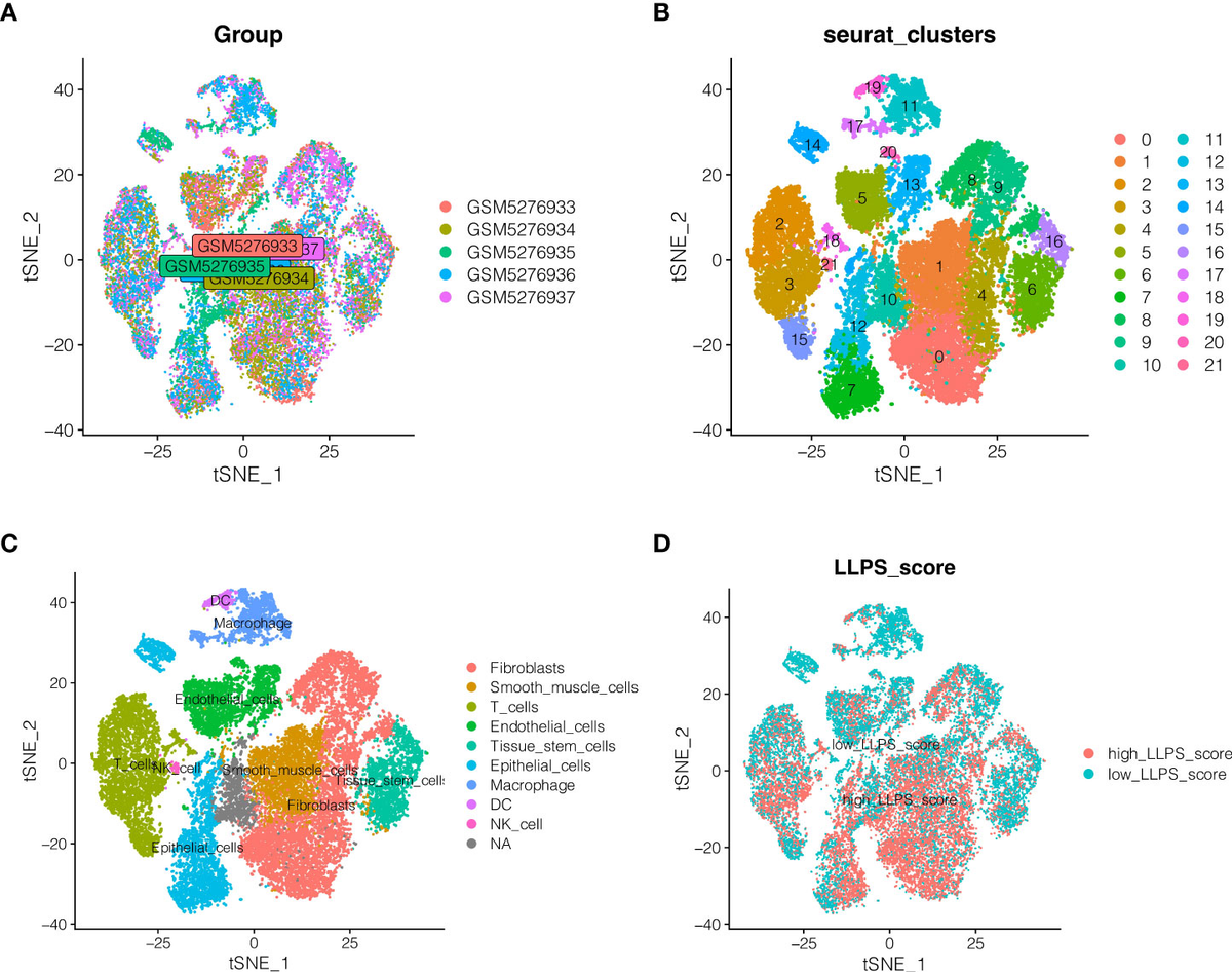Frontiers | Single cell sequencing analysis and transcriptome analysis ...