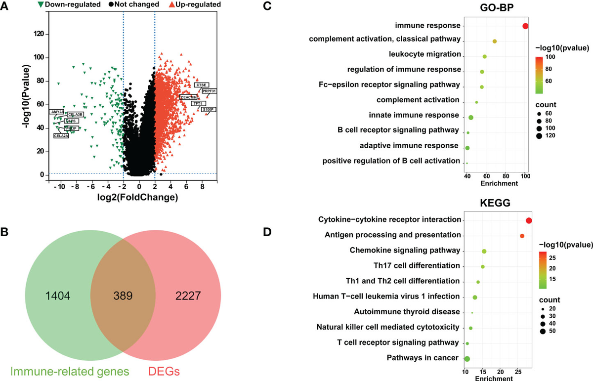 Frontiers | Identification of prognostic immune-related lncRNAs in ...