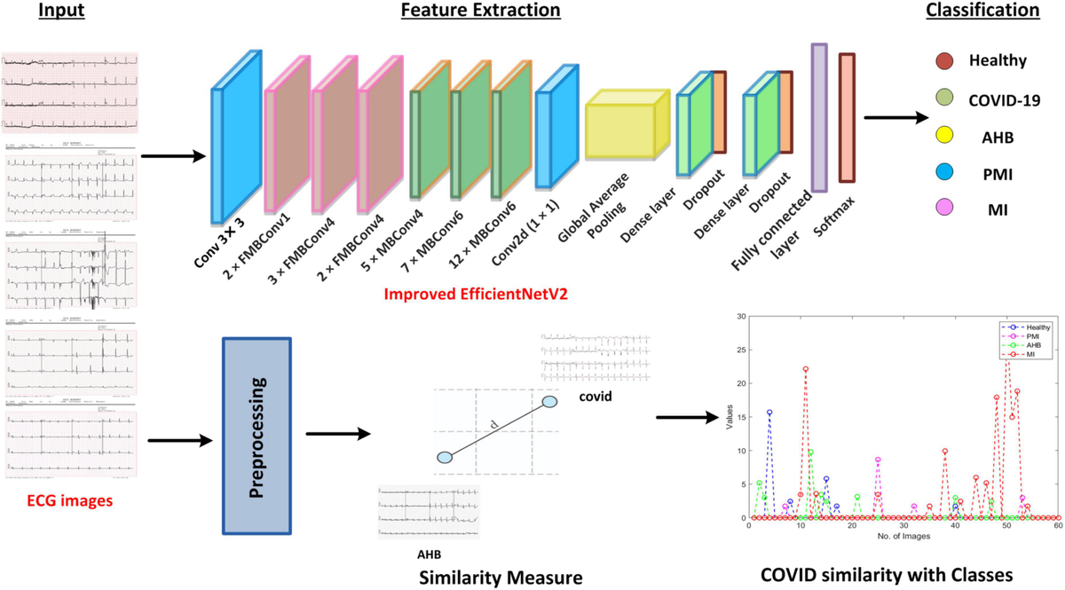 Frontiers | Efficient-ECGNet framework for COVID-19 classification and correlation prediction ...