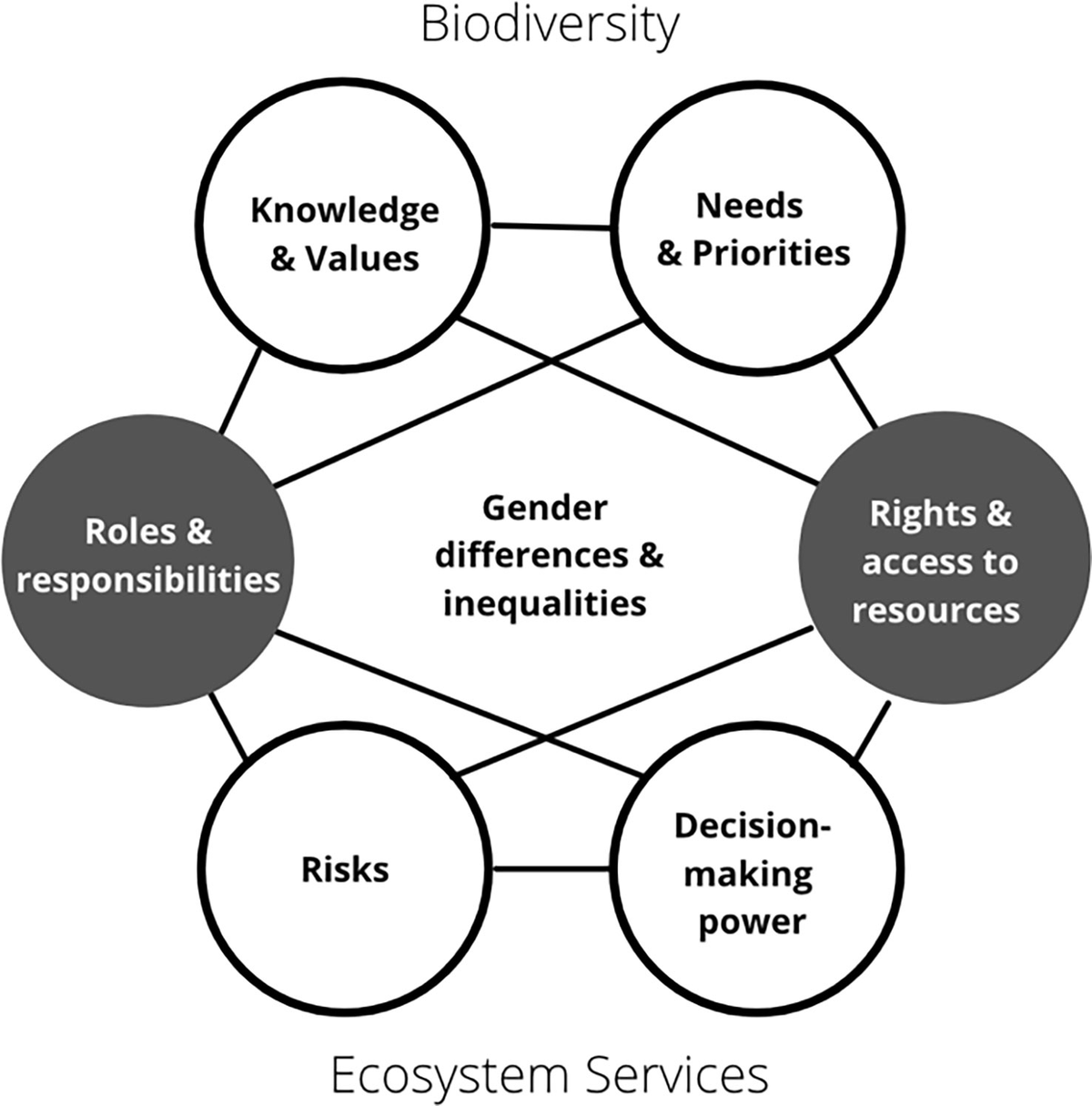 Frontiers | Applying a gender lens to biodiversity conservation in High ...
