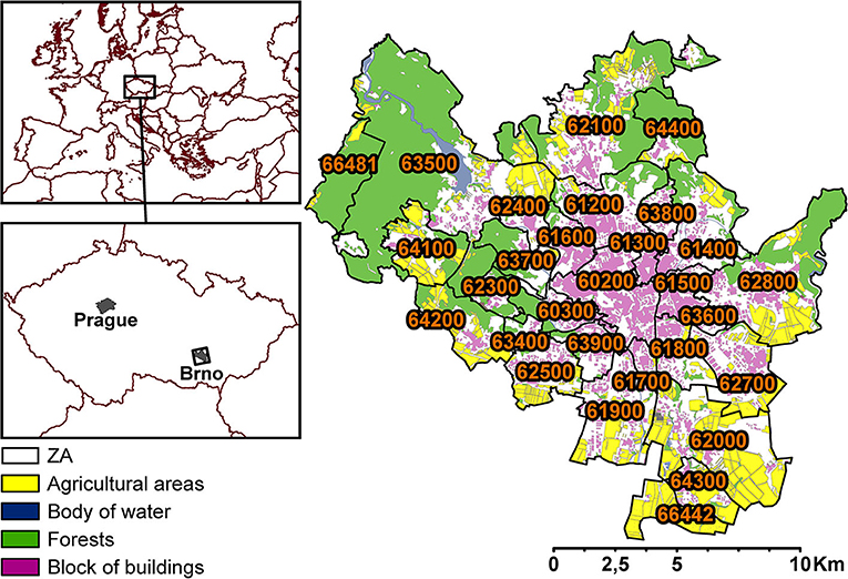 Frontiers | City-scale assessment of long-term air quality impacts on ...