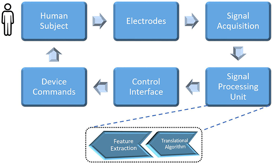 Frontiers | Status of deep learning for EEG-based brain–computer interface applications