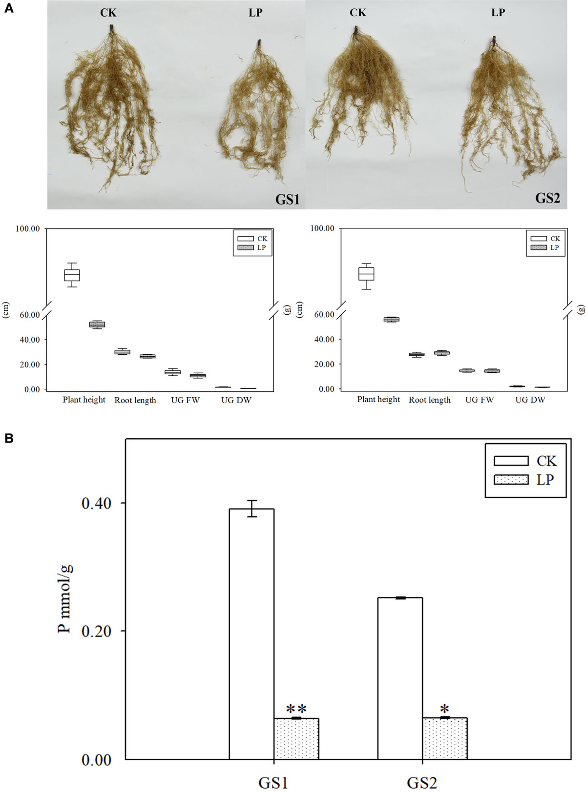 Frontiers | Integrating transcriptomic and metabolomic analysis in ...