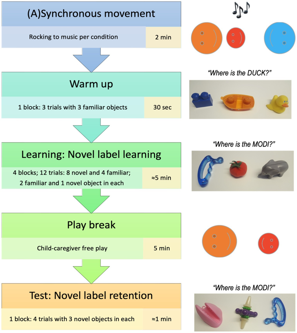 Frontiers | Investigating the effect of synchronized movement on ...