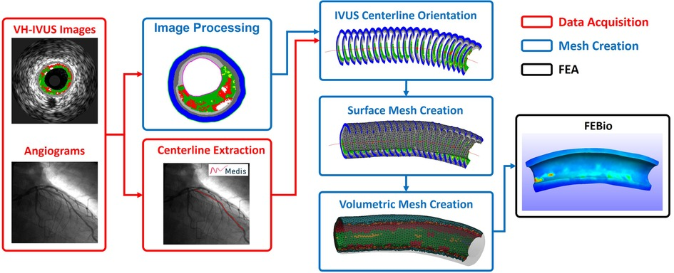 Frontiers | Automated finite element approach to generate anatomical patient-specific ...