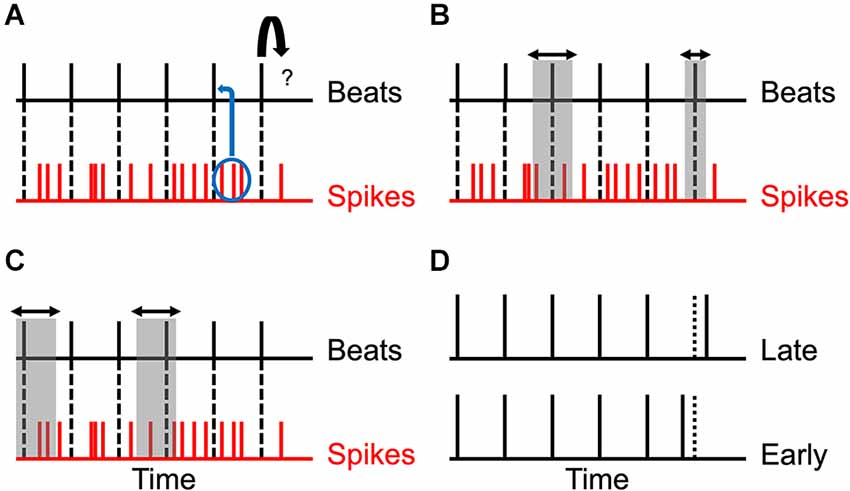 Frontiers | Systematic errors in the perception of rhythm