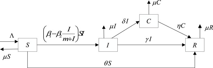 Frontiers | Dynamical behavior of a stochastic SICR rumor model ...