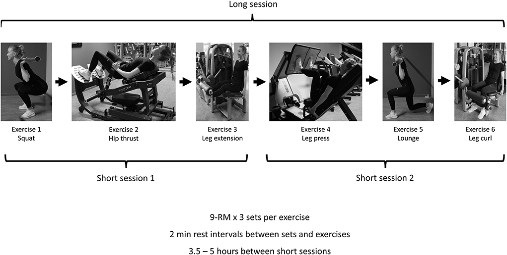 Frontiers | Effects of one long vs. two short resistance training ...