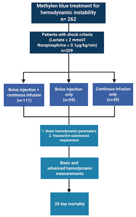 Frontiers | Methylene blue dosing strategies in critically ill adults ...