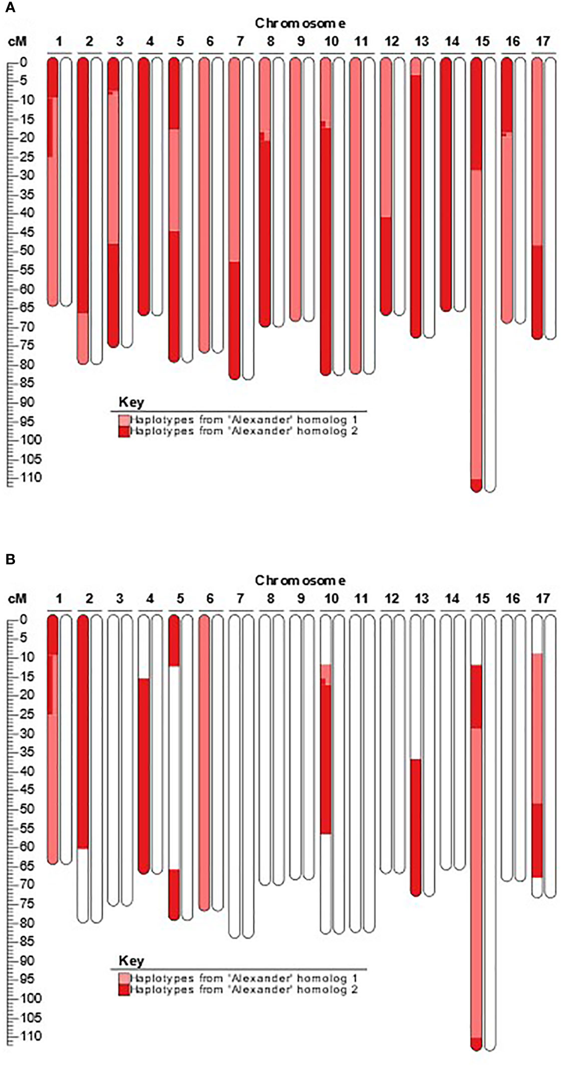 Frontiers | DNA profiling with the 20K apple SNP array reveals Malus ...