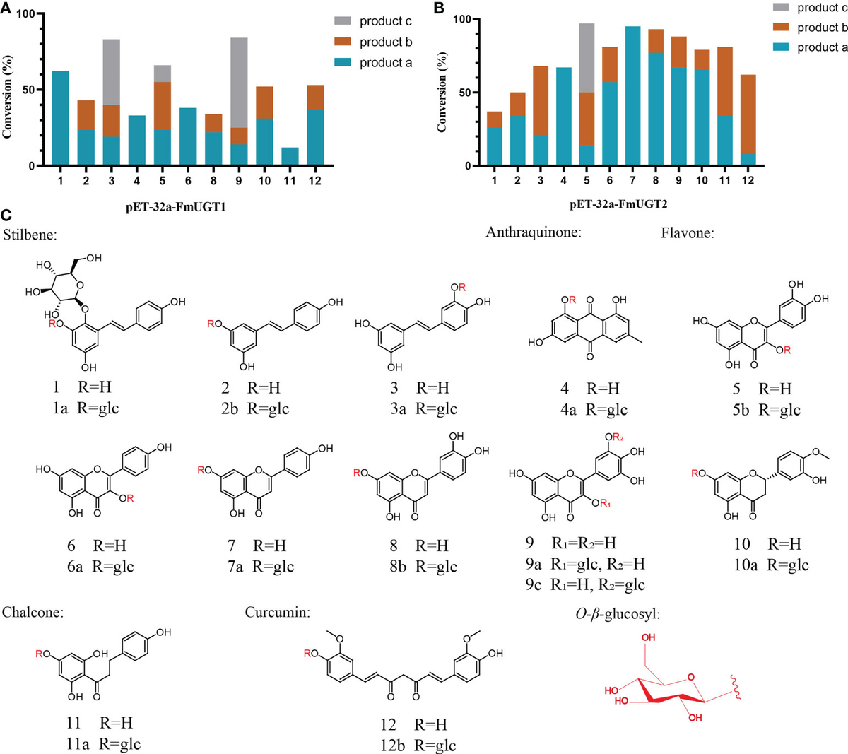 Frontiers | Molecular identification and functional characterization of ...