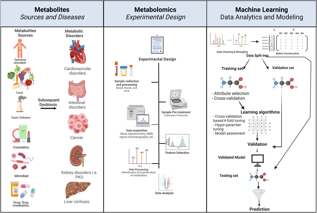 Frontiers | Applications of machine learning in metabolomics: Disease modeling and classification