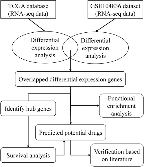 Frontiers | A bioinformatics framework to identify the biomarkers and potential drugs for the ...