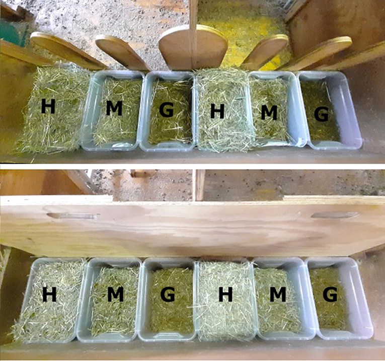 Frontiers | Dairy sheep and goats prefer the single components over the ...