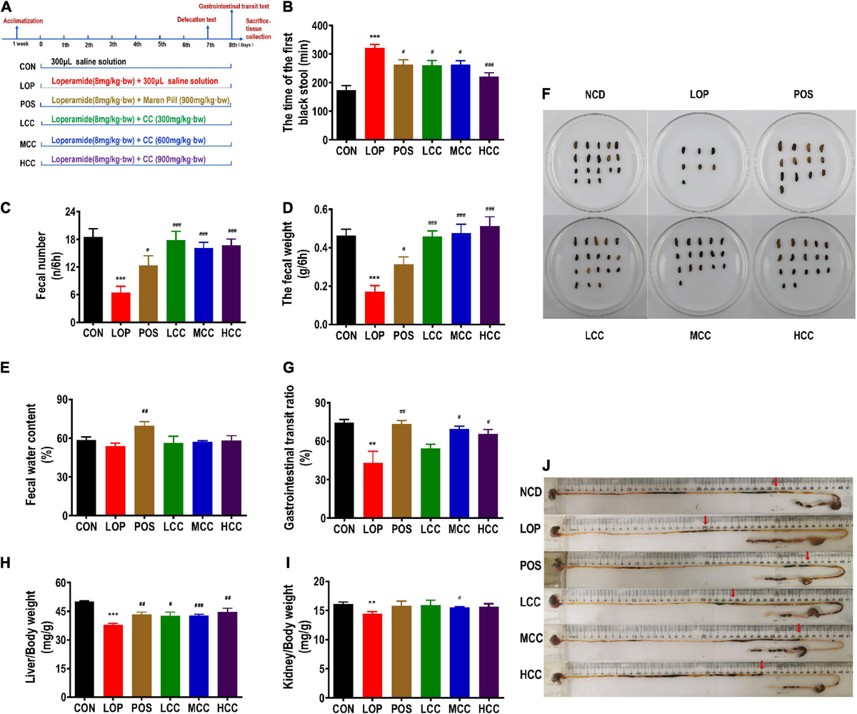 Frontiers | Cymbopogon citratus (DC.) Stapf aqueous extract ameliorates ...