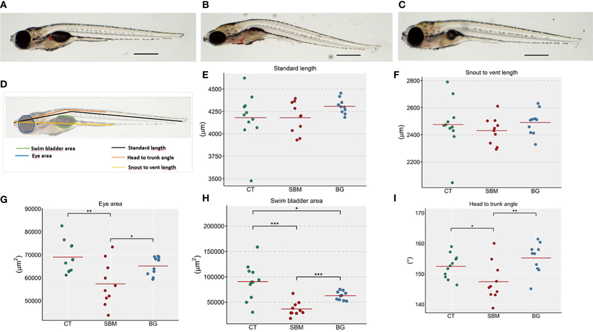 Frontiers | Developmental defects and behavioral changes in a diet ...
