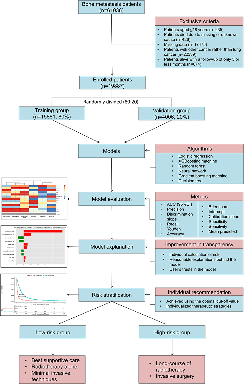 Frontiers | Machine learning approaches for prediction of early death ...