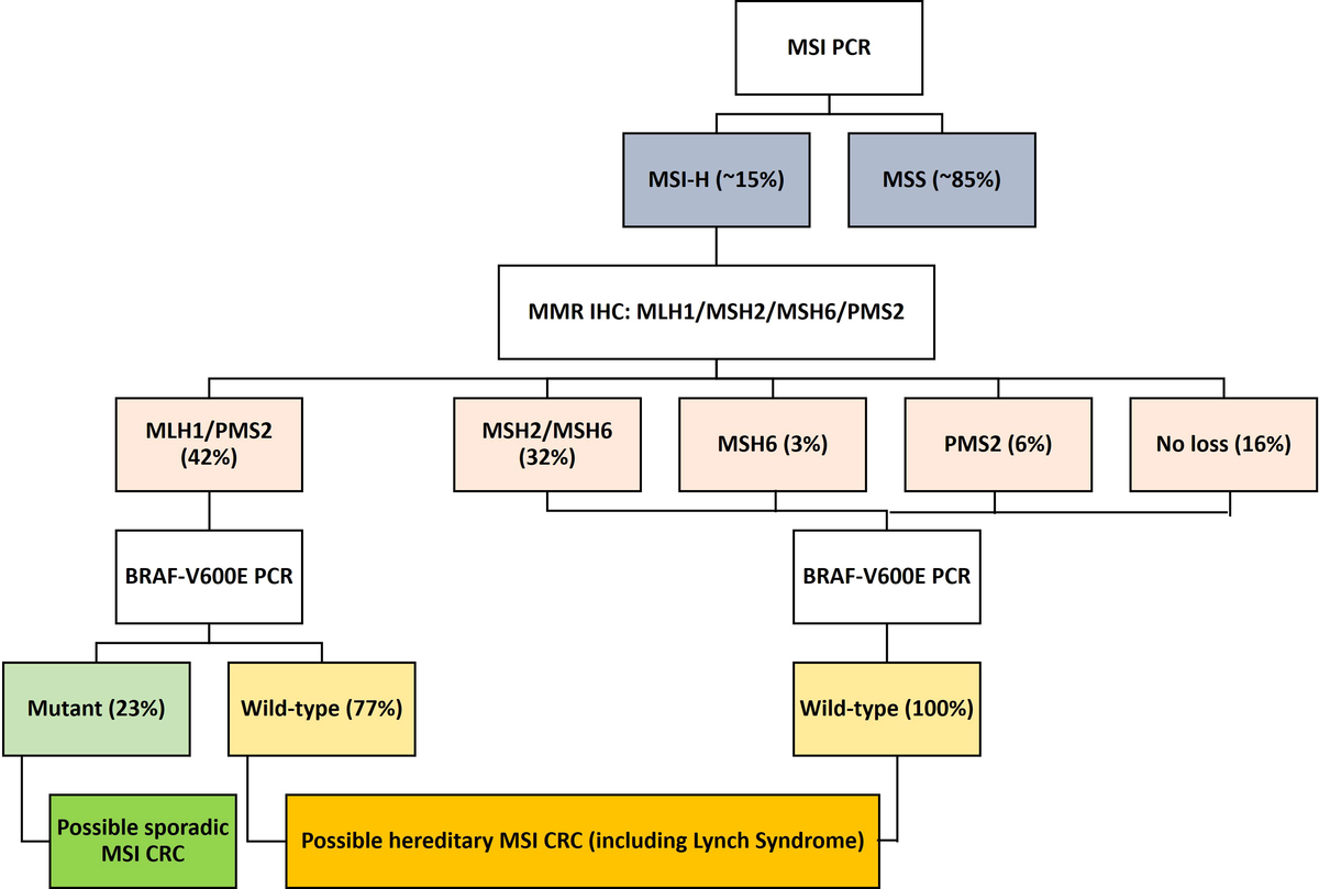 Frontiers | Clinicopathological characteristics of high microsatellite instability/mismatch ...