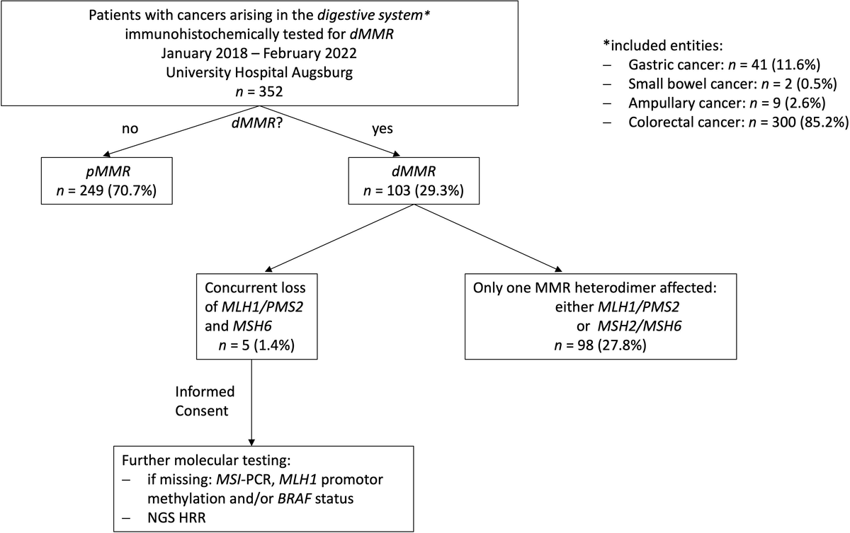 Frontiers | Concurrent loss of MLH1, PMS2 and MSH6 immunoexpression in ...