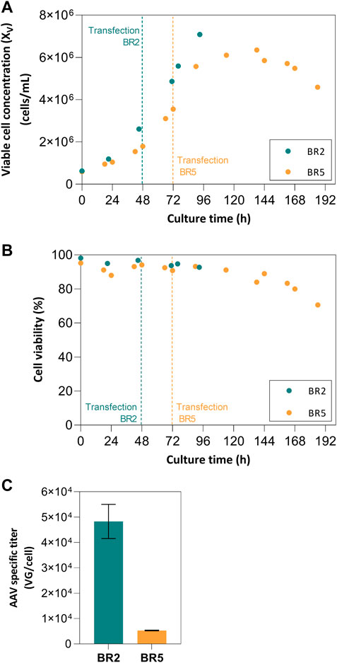 Frontiers | AAV process intensification by perfusion bioreaction and ...