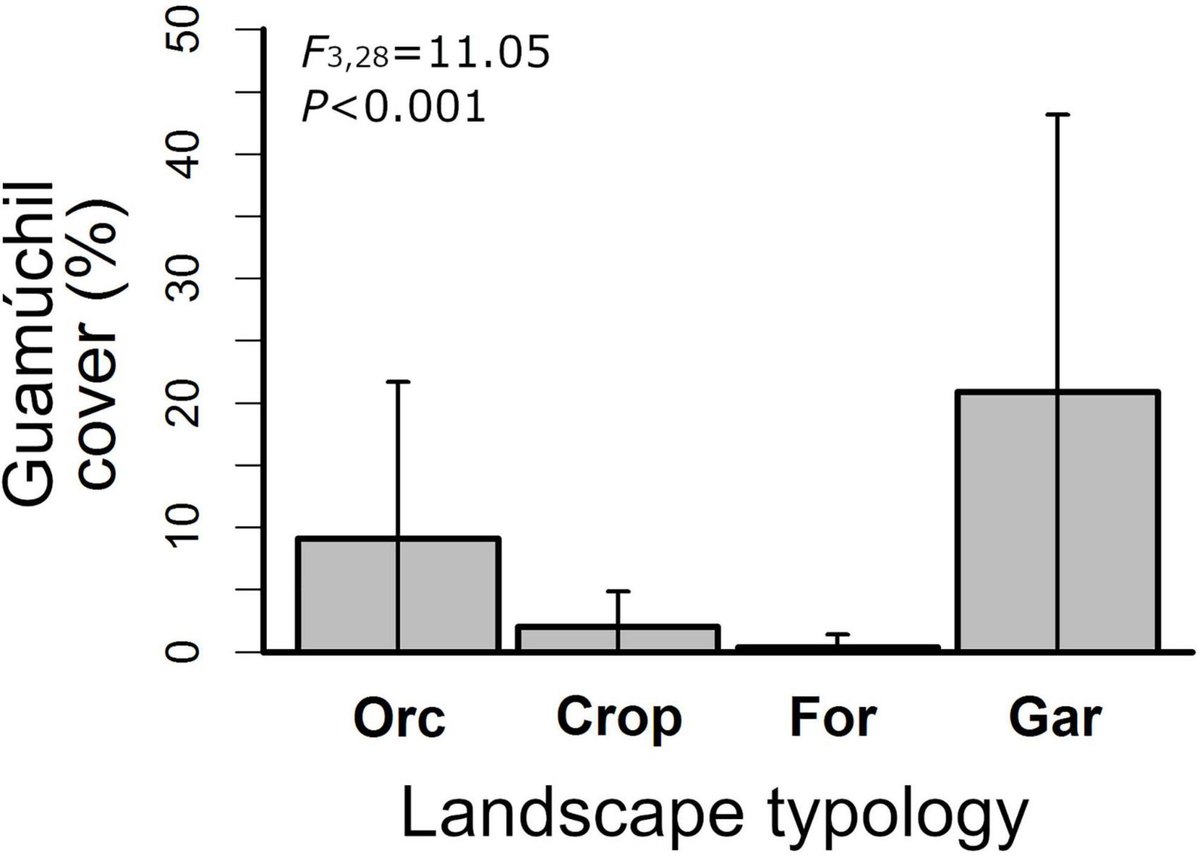 Frontiers | The “Guamúchil” cultivation in a Mexican cultural landscape ...