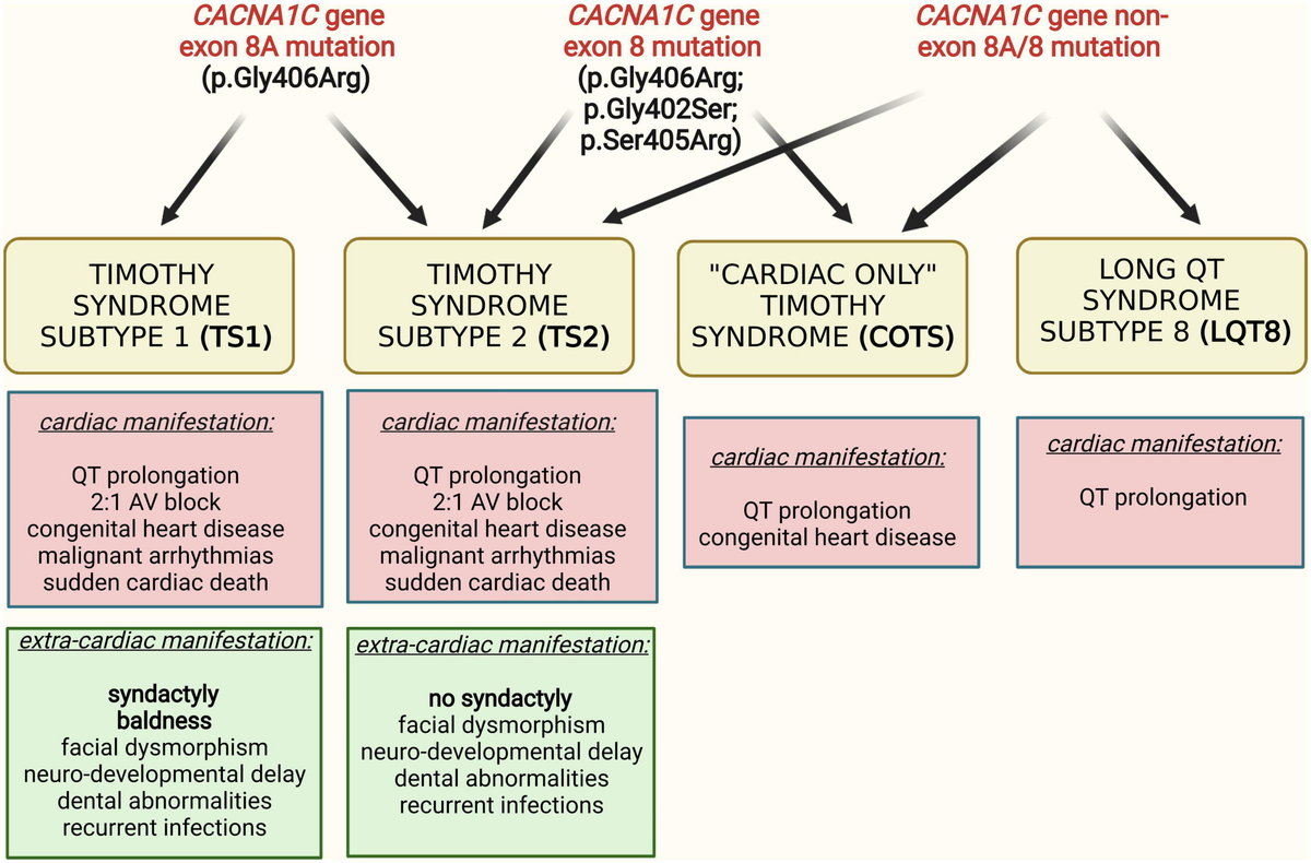 Frontiers | Geno- and phenotypic characteristics and clinical outcomes ...
