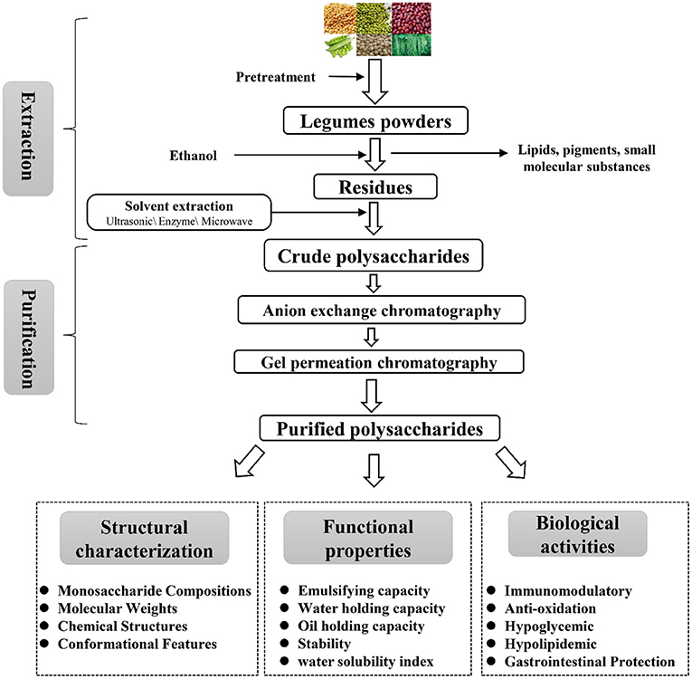 Frontiers | A review of extraction, purification, structural properties ...