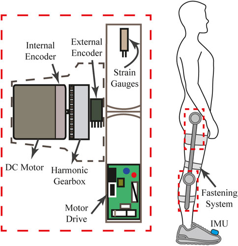 Frontiers | Effects of stance control via hidden Markov model-based ...
