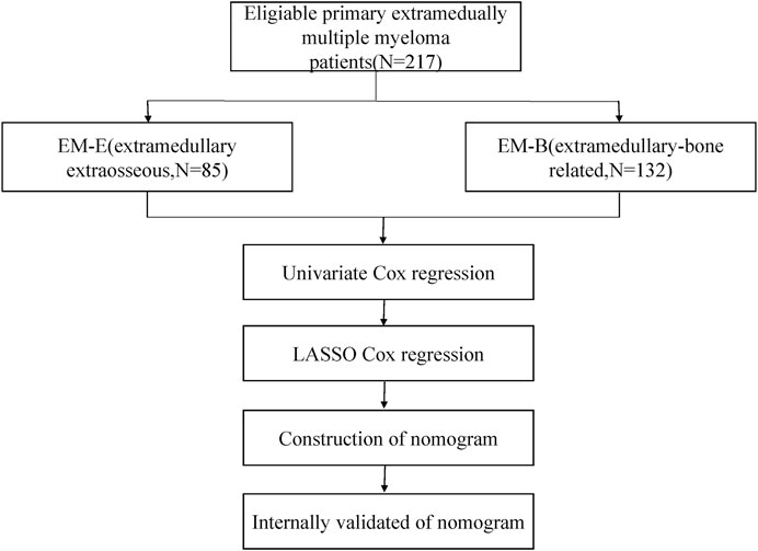 Frontiers | A prognostic model for patients with primary extramedullary ...