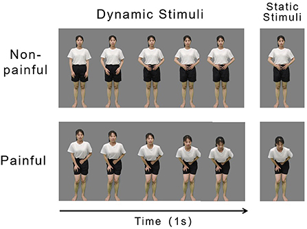 Frontiers | Empathy for pain in individuals with autistic traits during ...