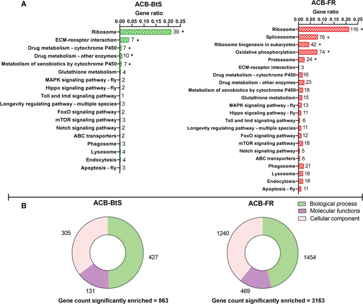 Frontiers | Hemocyte response to treatment of susceptible and resistant ...