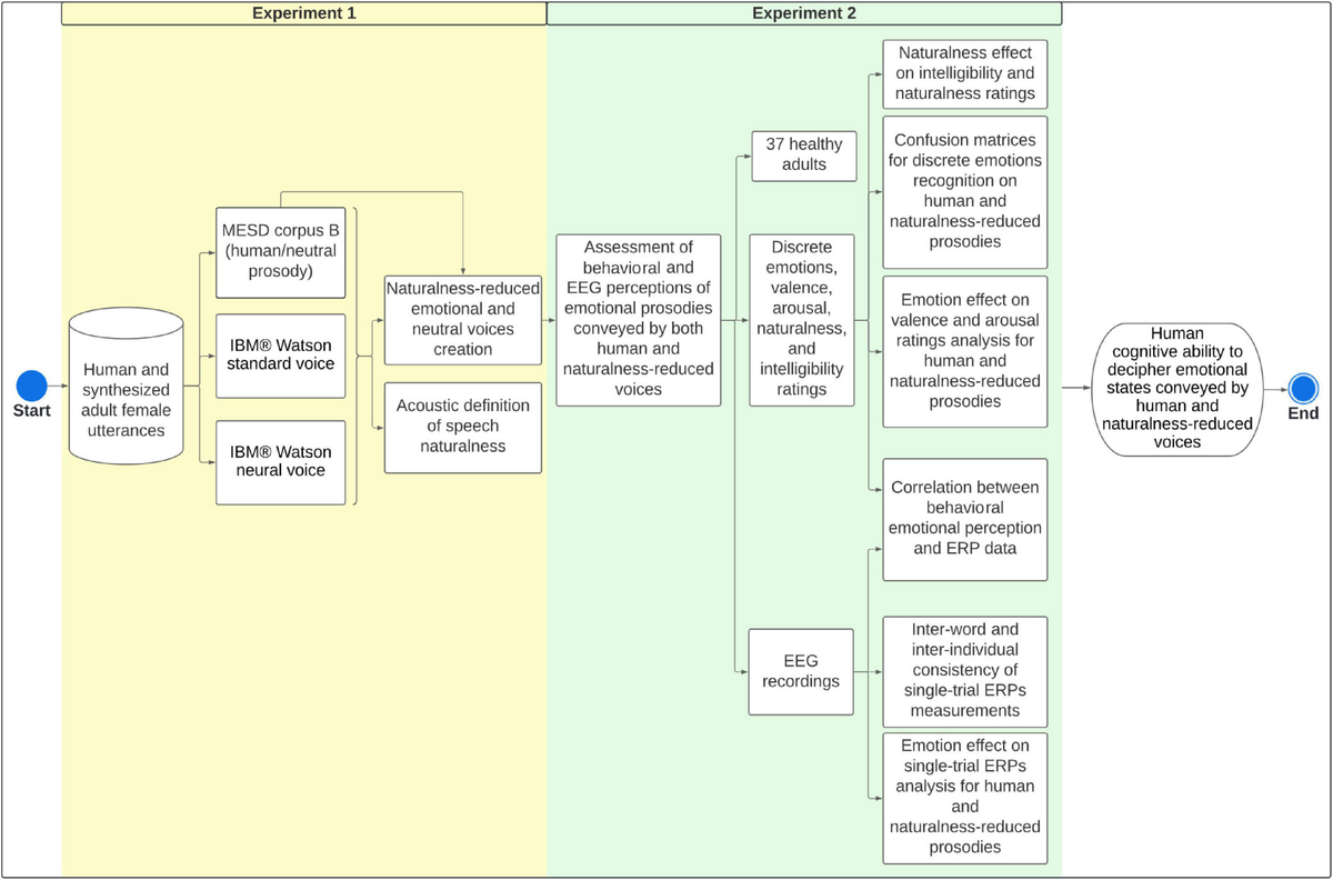 Frontiers | Neuronal and behavioral affective perceptions of human and naturalness-reduced ...