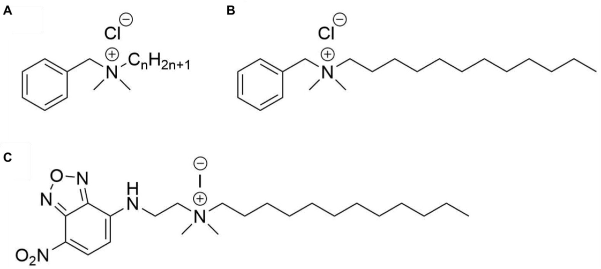 Frontiers | A fluorescently labelled quaternary ammonium compound (NBD ...